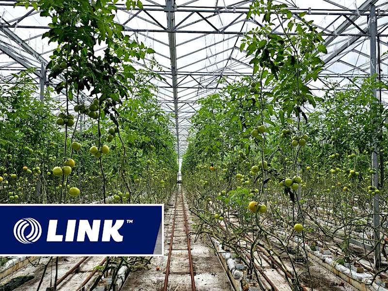 Businesses for Sale | LINK Business Brokers New Zealand