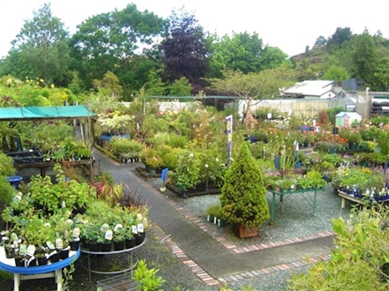 Garden Centre - Accommodation & Freehold | LINK Business Brokers New ...